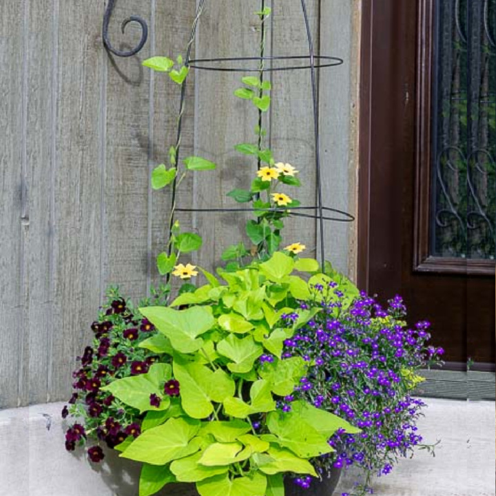 DIY Plant Trellis for Flower Pots - Adds Height to Your Flower Pots