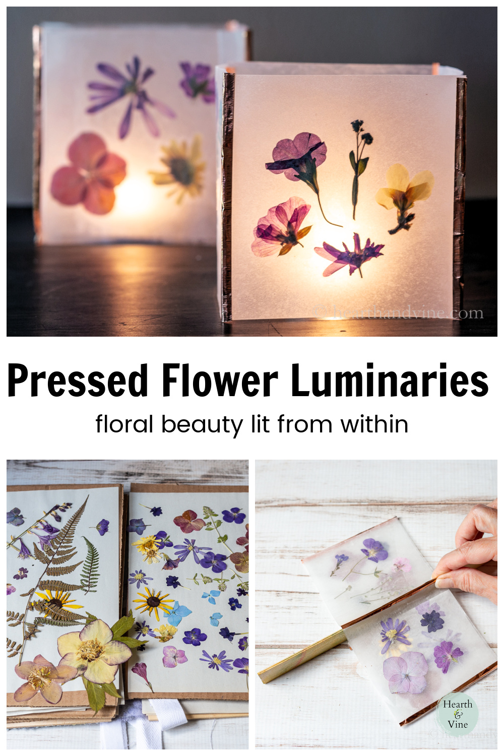 Pressed Flower Luminaria You Can Easily Make at Home