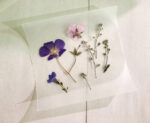Pressed Flower Luminaria You Can Easily Make at Home