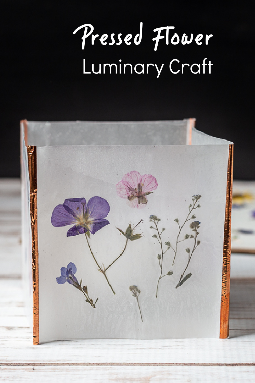 Pressed Flower Luminaria You Can Easily Make at Home