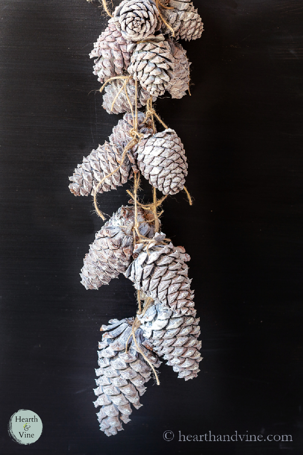 How to Make Faux Bleached Pinecones without Bleach | Hearth and Vine