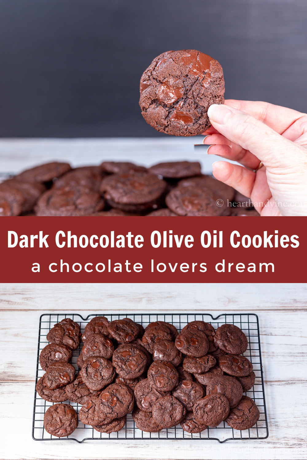Olive Oil Chocolate Chip Cookies