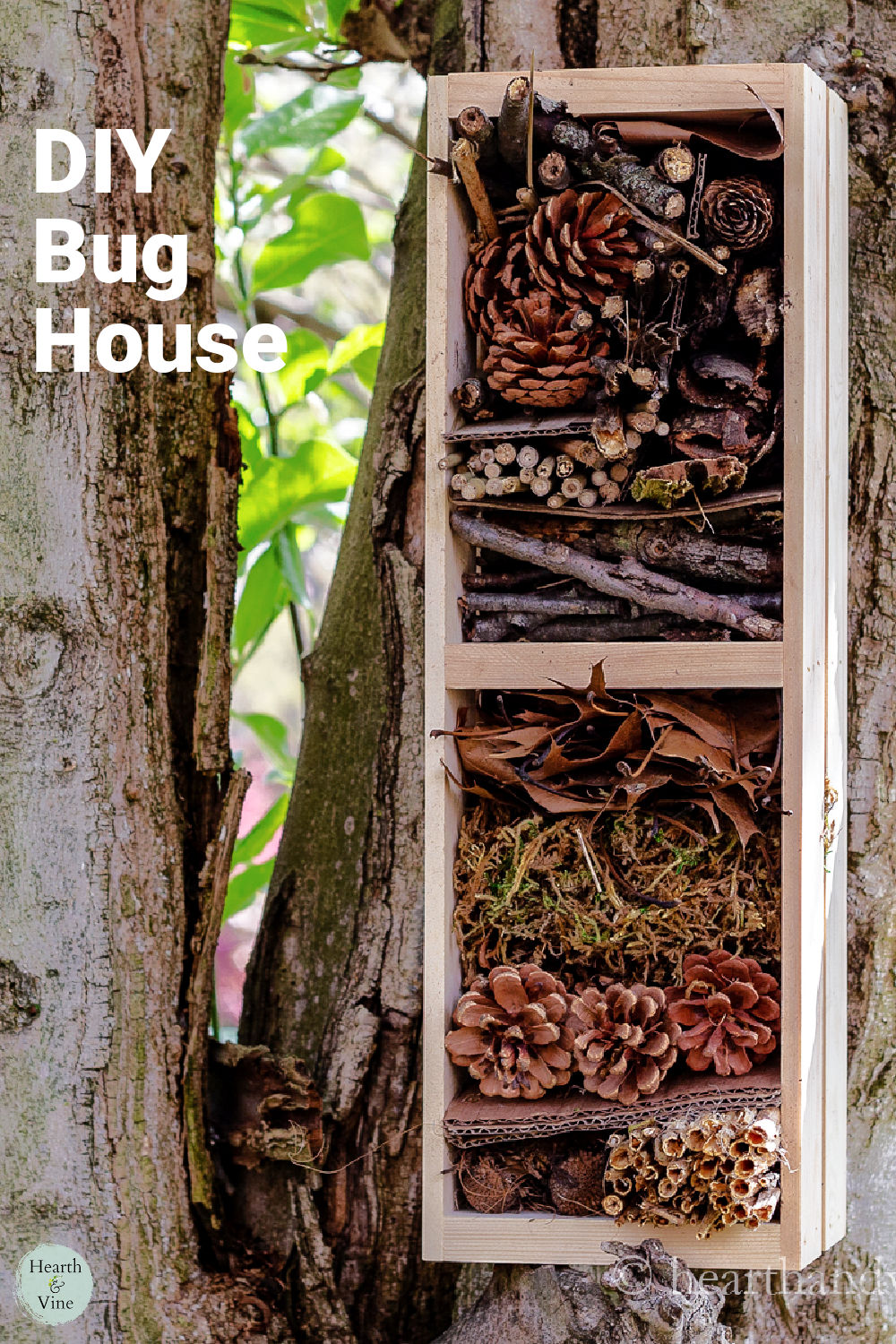 Bug House Craft Project | Hearth and Vine