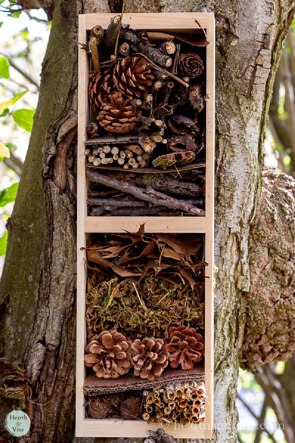 Bug House Craft Project | Hearth and Vine
