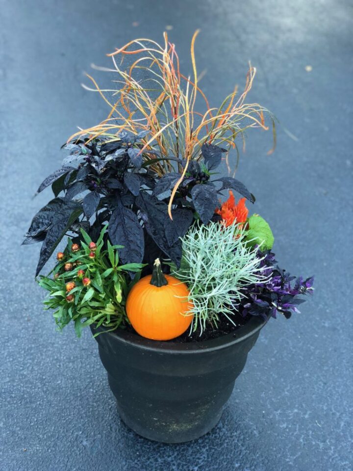 23 Fabulous Front Porch Fall Planter Ideas