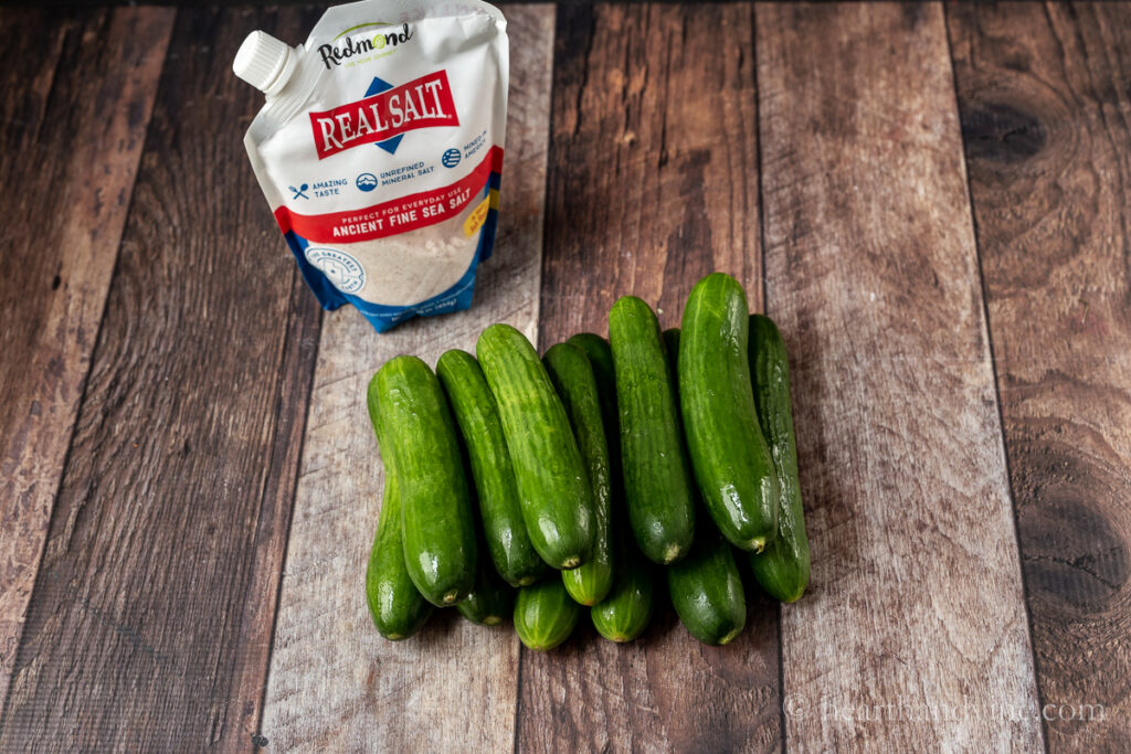 Homemade Fermented Pickles Recipe | Hearth and Vine