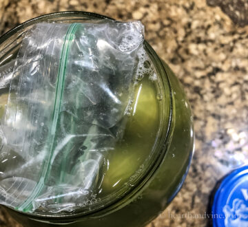 Homemade Fermented Pickles Recipe | Hearth and Vine