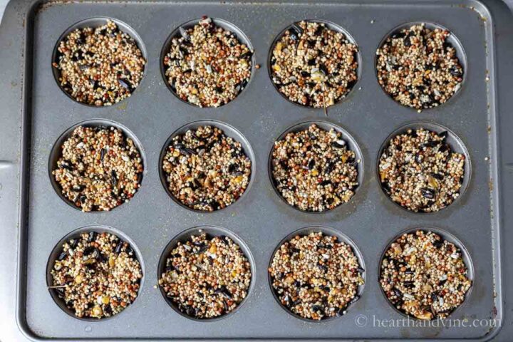 DIY Birdseed Cakes | Hearth and Vine