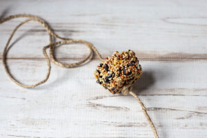 DIY Birdseed Cakes | Hearth and Vine