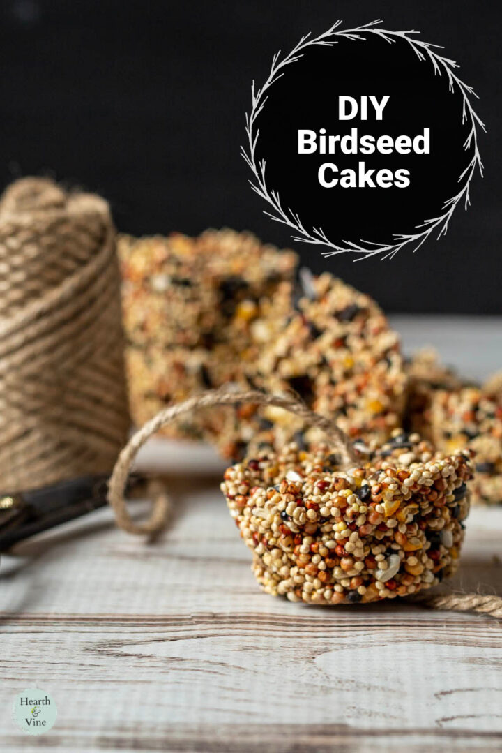 DIY Birdseed Cakes | Hearth and Vine