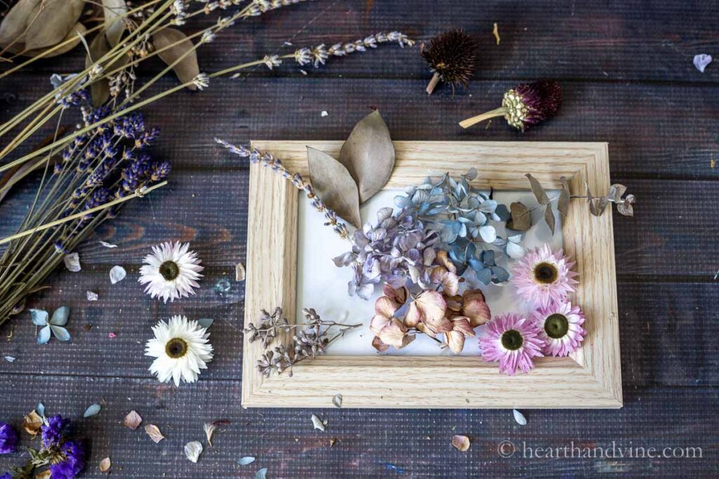 Dried Flower Art - Easy Tutorial to Get Creative