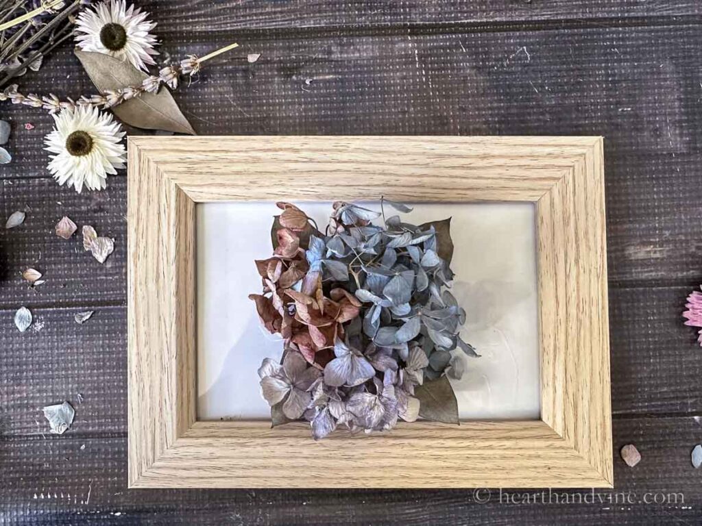 Dried Flower Art - Easy Tutorial to Get Creative