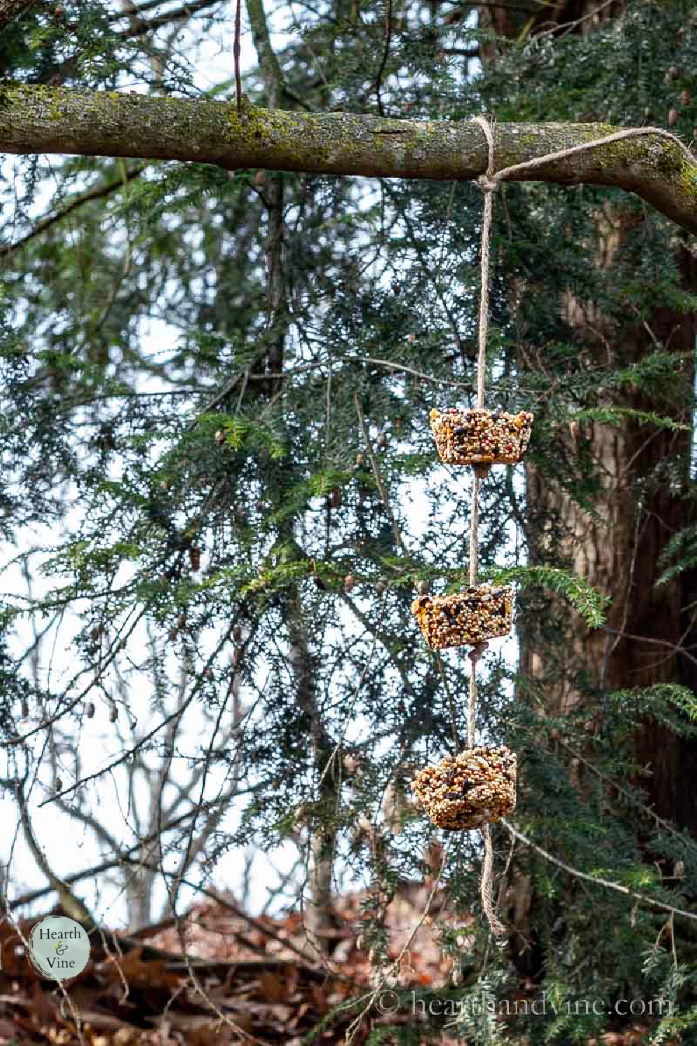 DIY Birdseed Cakes | Hearth and Vine