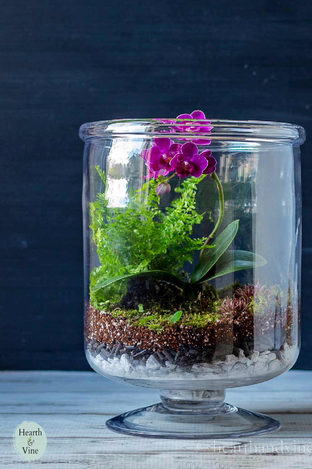 How to Make an Open Terrarium | Hearth and Vine