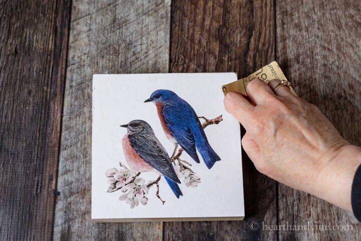 DIY Wood Block Art with Bird Prints for Spring | Hearth and Vine