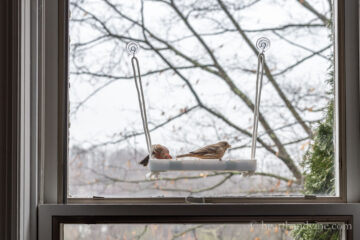 Make a Bird Feeder that Sticks to the Window | Hearth and Vine
