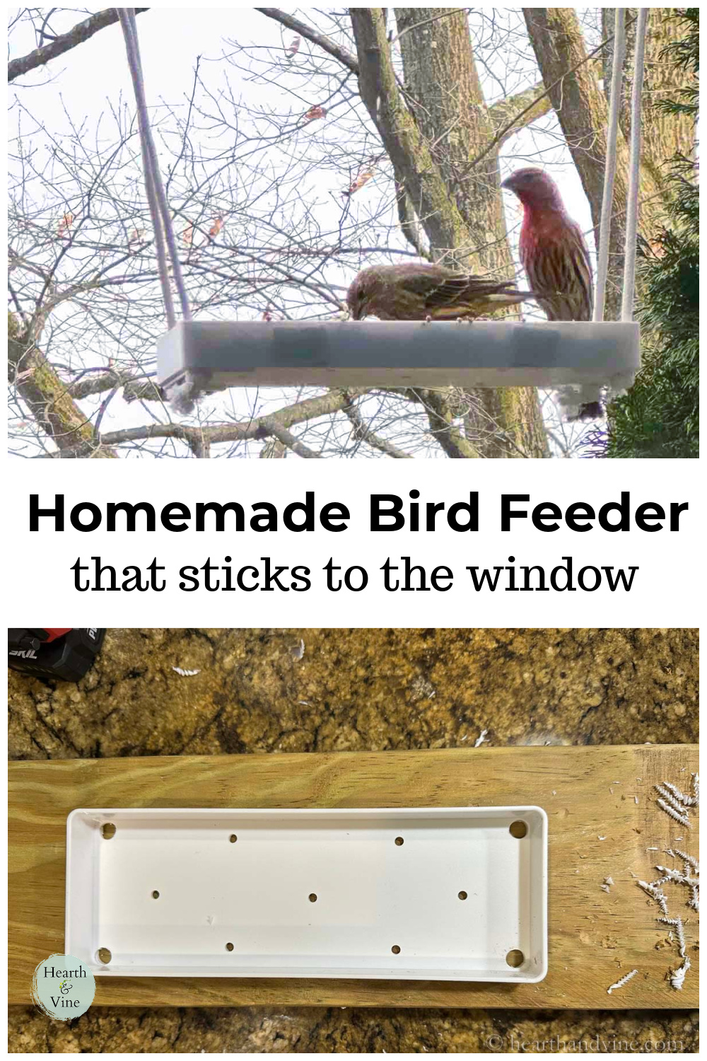 Make a Bird Feeder that Sticks to the Window