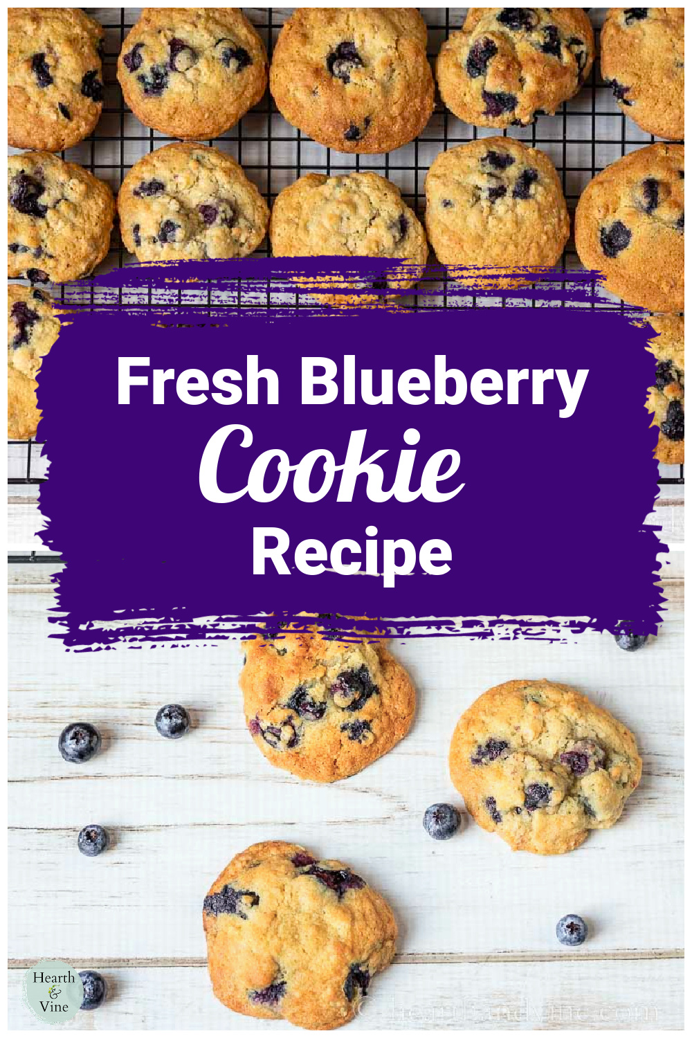 How to Make Blueberry Cookies with Oats | Hearth and Vine