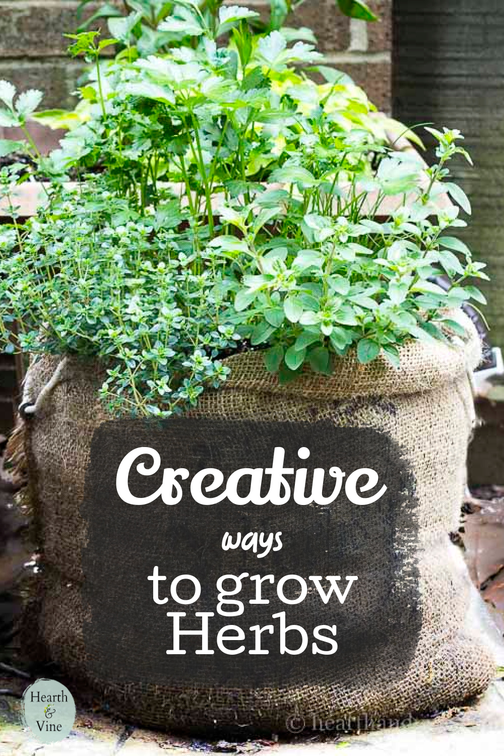 11 Container Herb Garden Ideas | Hearth and Vine