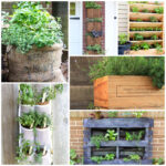 11 Container Herb Garden Ideas | Hearth and Vine