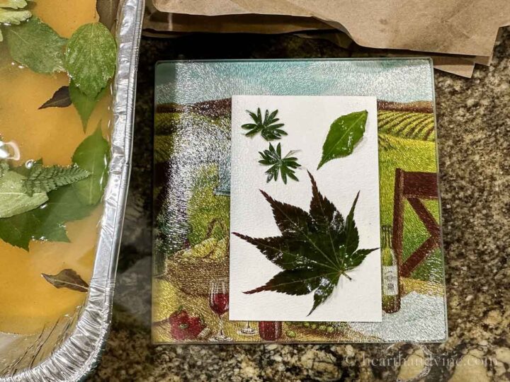 Eco Printing on Paper Craft | Hearth and Vine