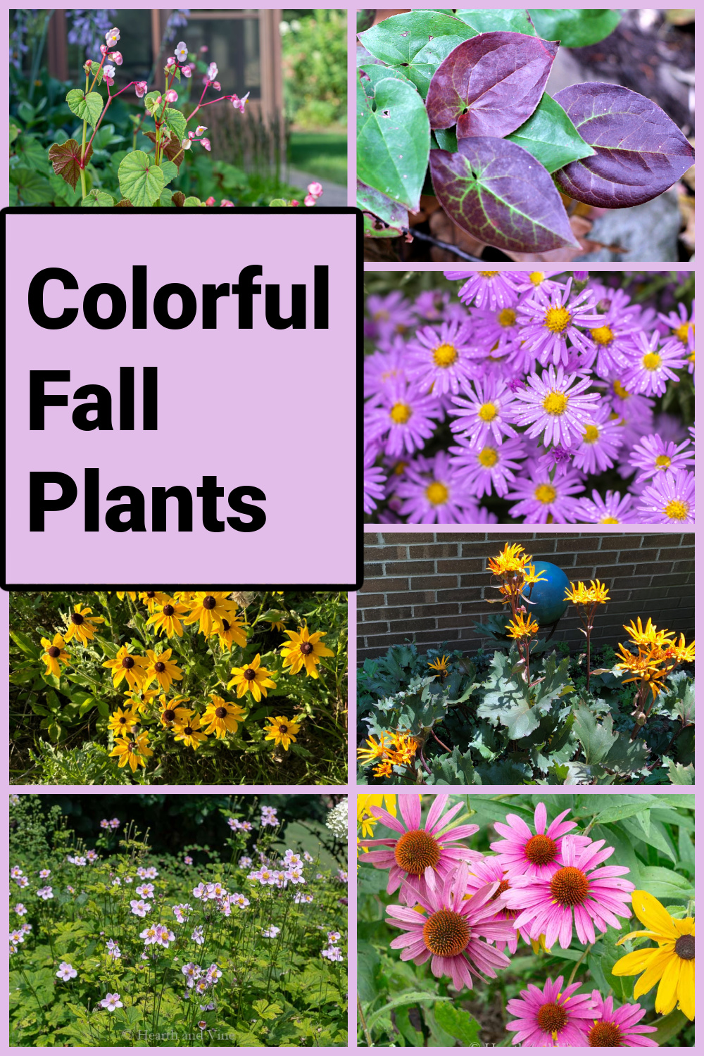 Perennials for Fall Color that Last Until Winter| Hearth and Vine