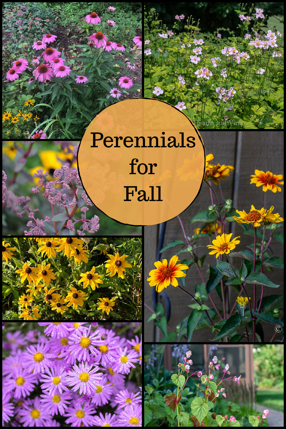 Best Perennials For Fall Color at Timothy Bottom blog