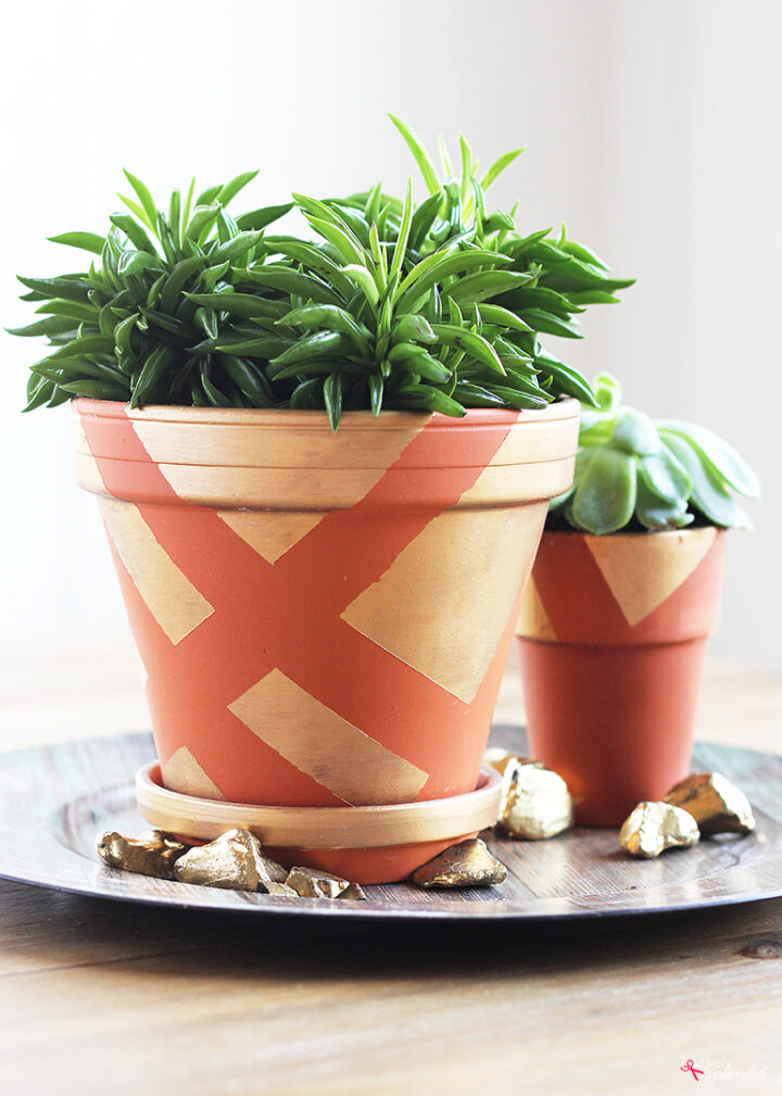 40 Painted Terracotta Pot Ideas