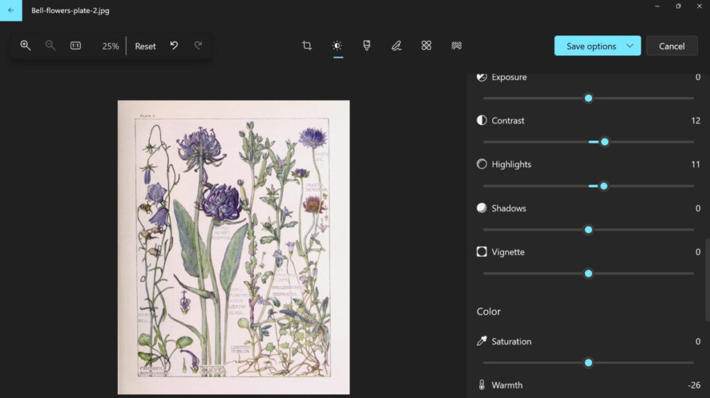 DIY Botanical Wall Art | Hearth and Vine