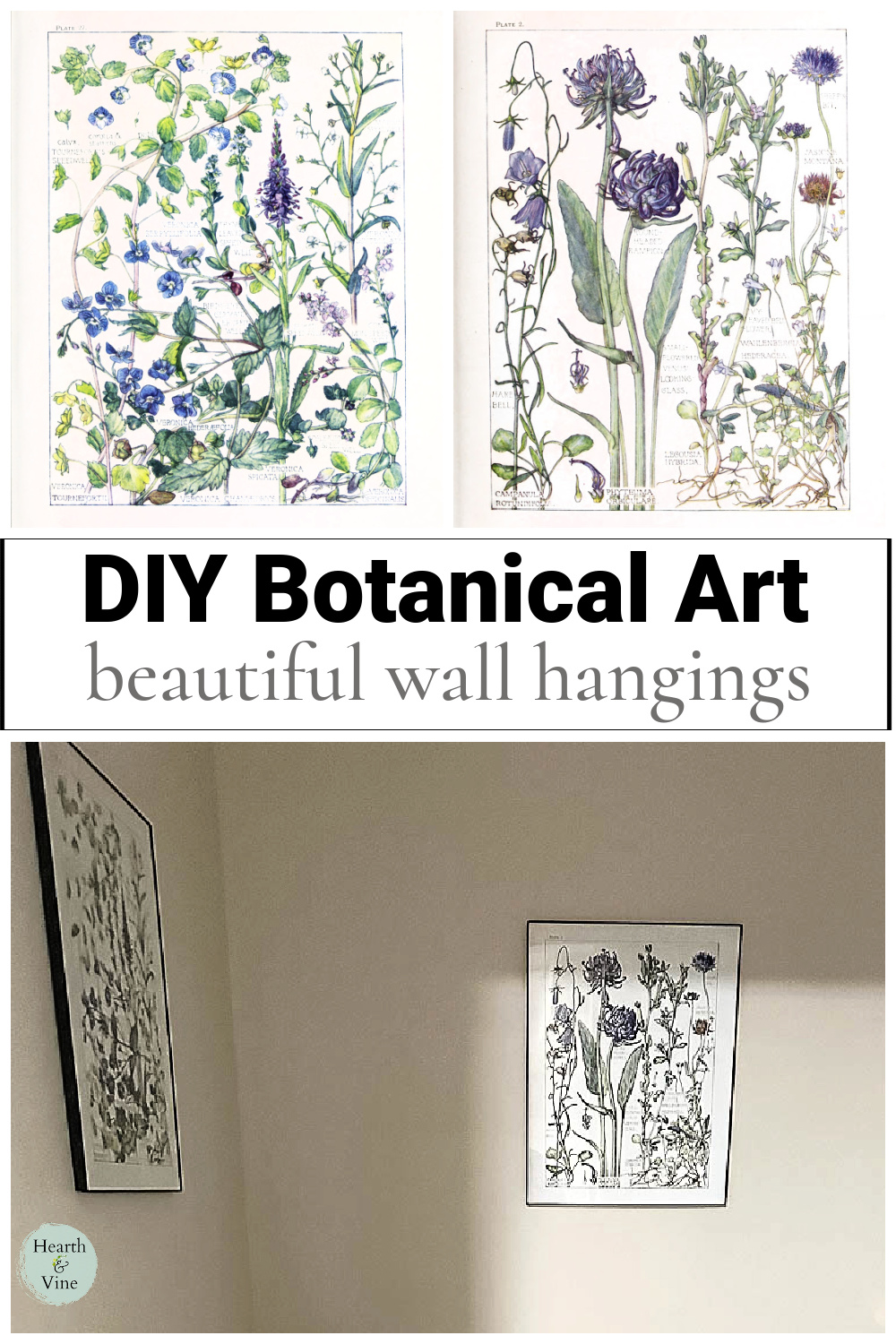 DIY Botanical Wall Art | Hearth and Vine
