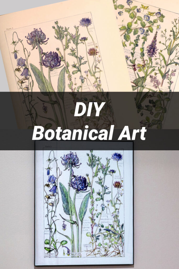 DIY Botanical Wall Art | Hearth and Vine