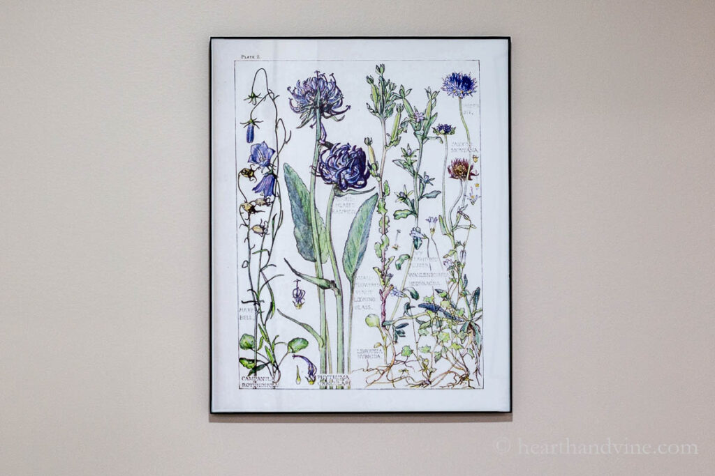 DIY Botanical Wall Art | Hearth and Vine
