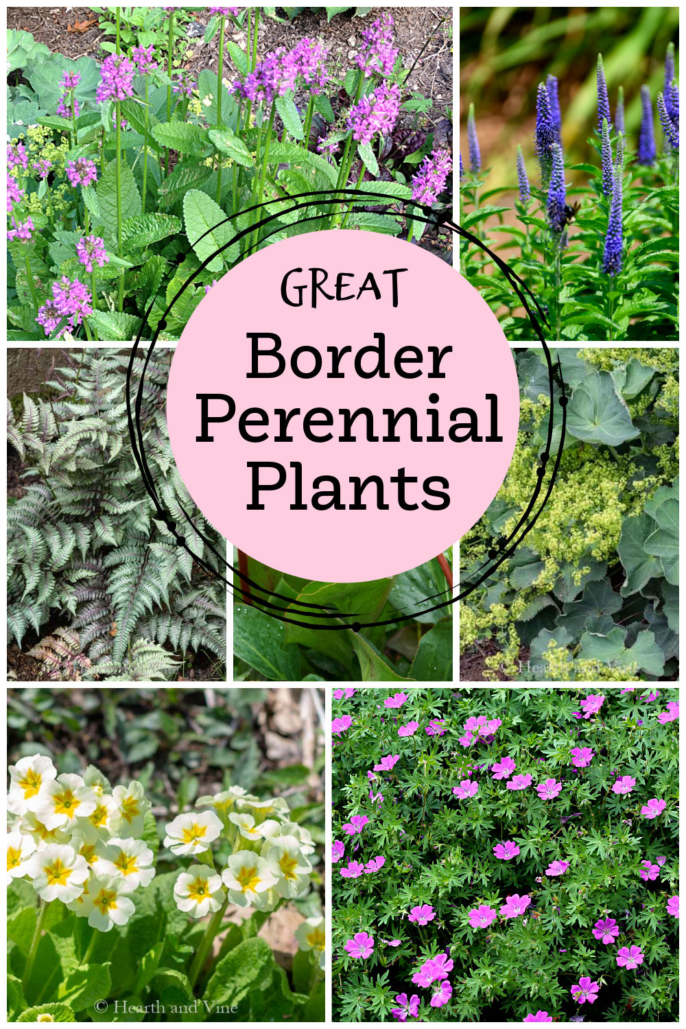 19 Small Perennial Plants for the Border | Hearth and Vine