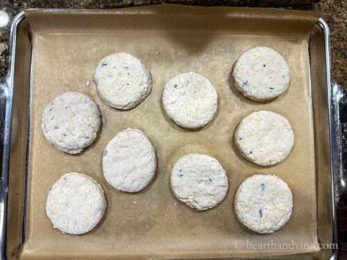 Cheddar and Chive Biscuits