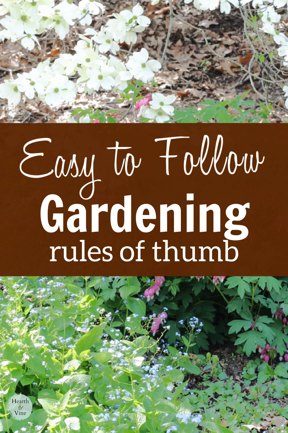7 Gardening Rules of Thumb For New Plants | Hearth and Vine