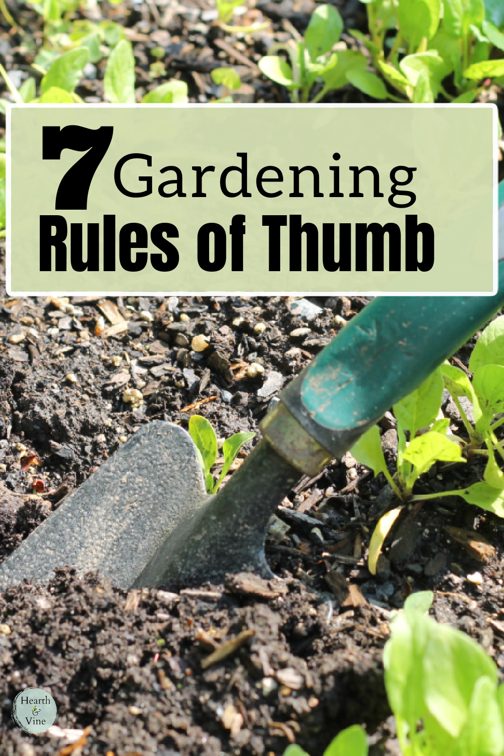 7 Gardening Rules of Thumb For New Plants | Hearth and Vine