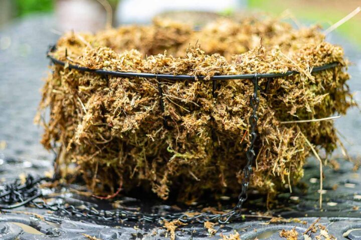 How to Make a Moss Hanging Basket | Hearth and Vine