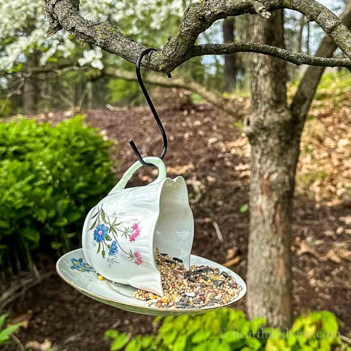 How to Make a Teacup Bird Feeder | Hearth and Vine