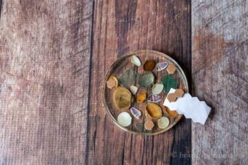 How to Make Resin Coasters with Seashells and Sea Glass | Hearth and Vine