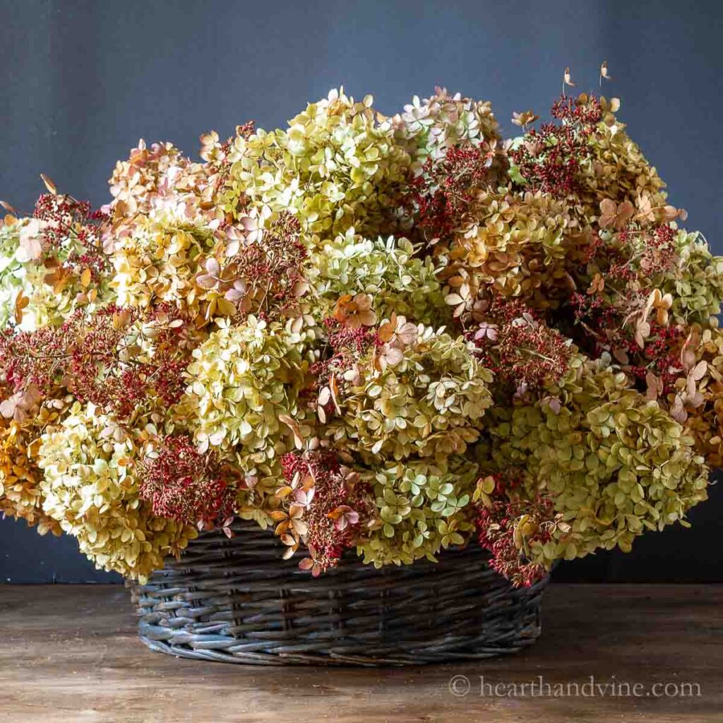 Hydrangea Decorating Ideas - DIY Home Decor from the Garden