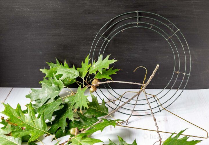 DIY Oak Leaf Wreath with Real Oak Leaves