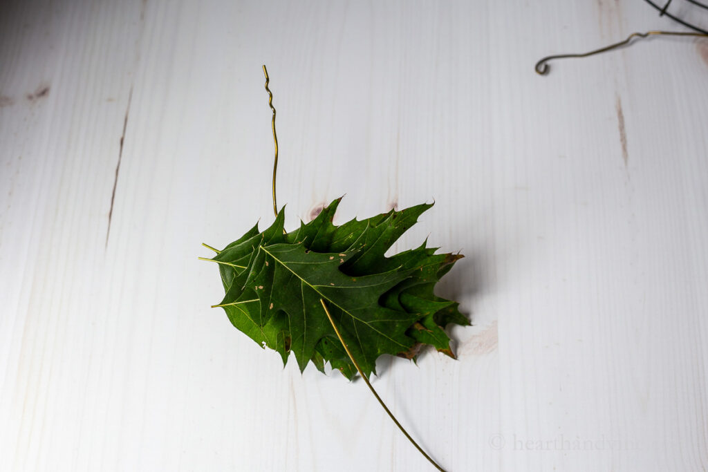DIY Oak Leaf Wreath with Real Oak Leaves