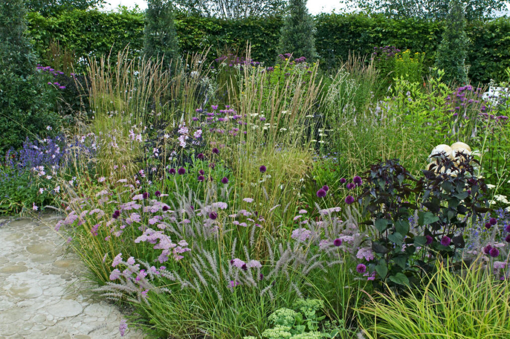 Chaos Gardening - A Fun New Trend that May Be Worth a Try