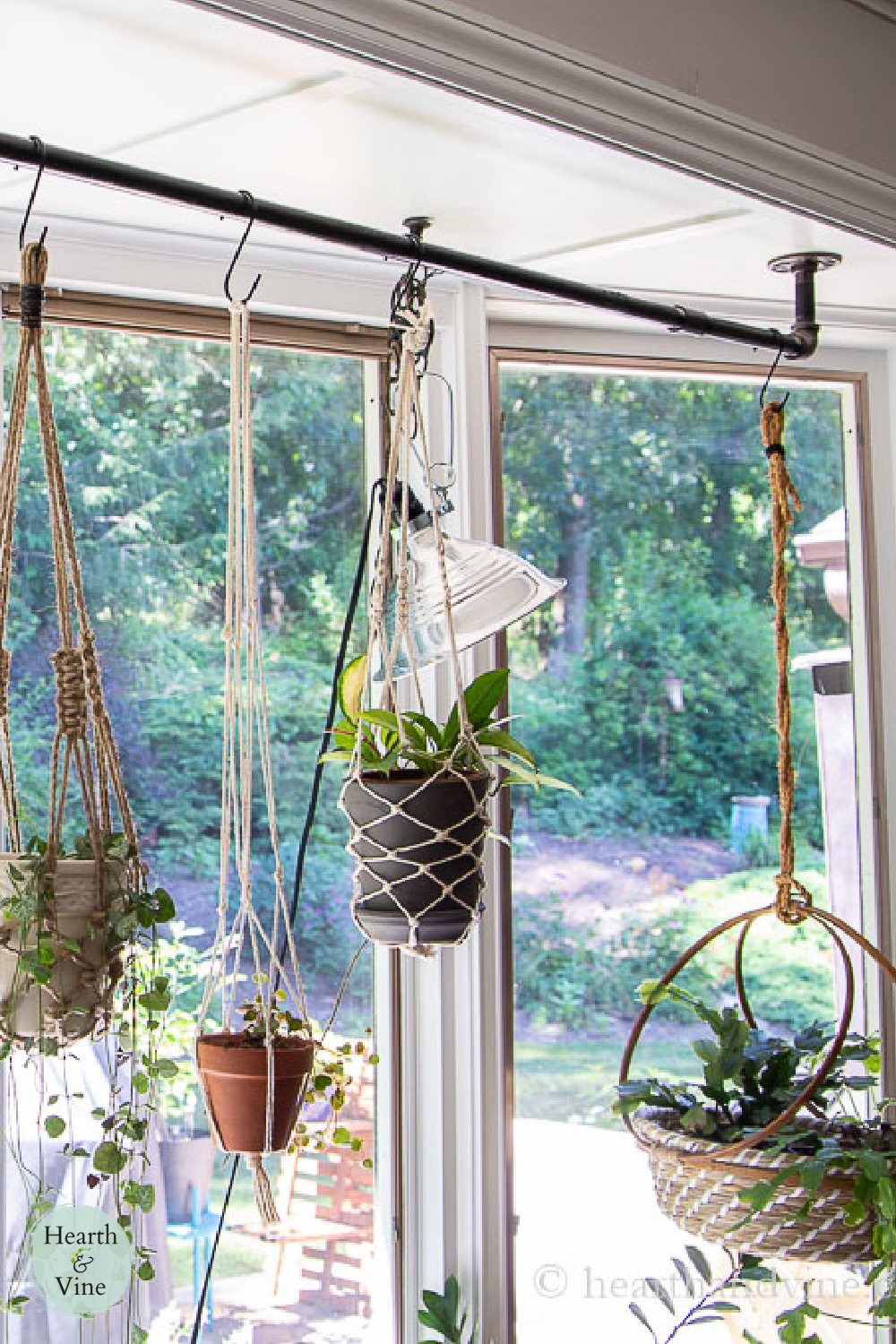 DIY Industrial Pipe Plant Hanger for Multiple Plants