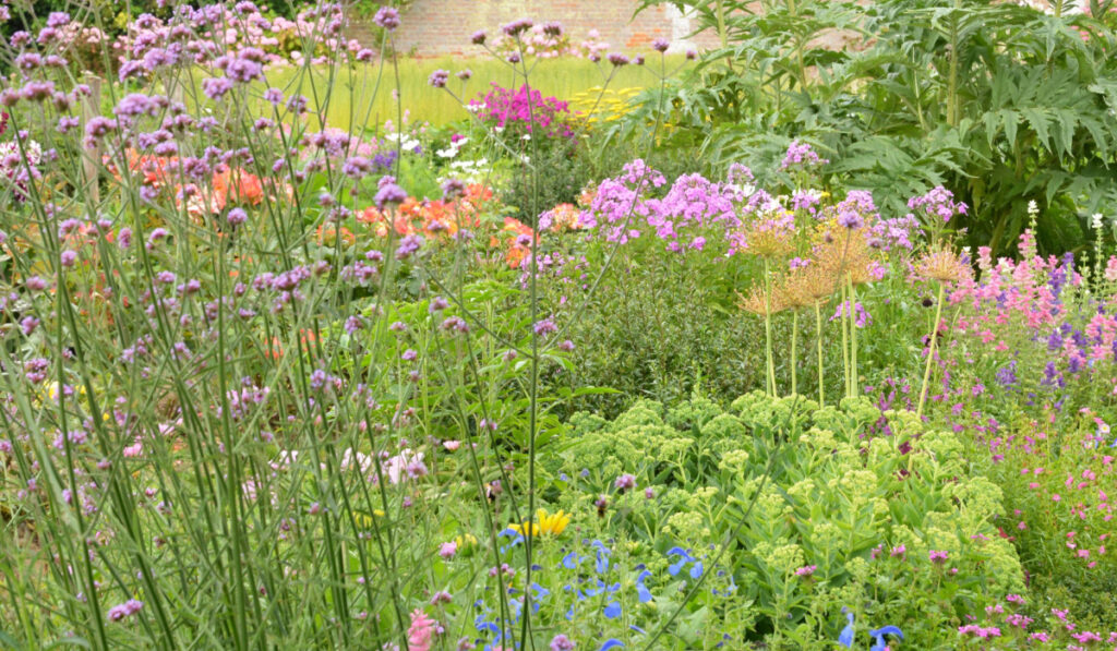 Chaos Gardening - A Fun New Trend that May Be Worth a Try