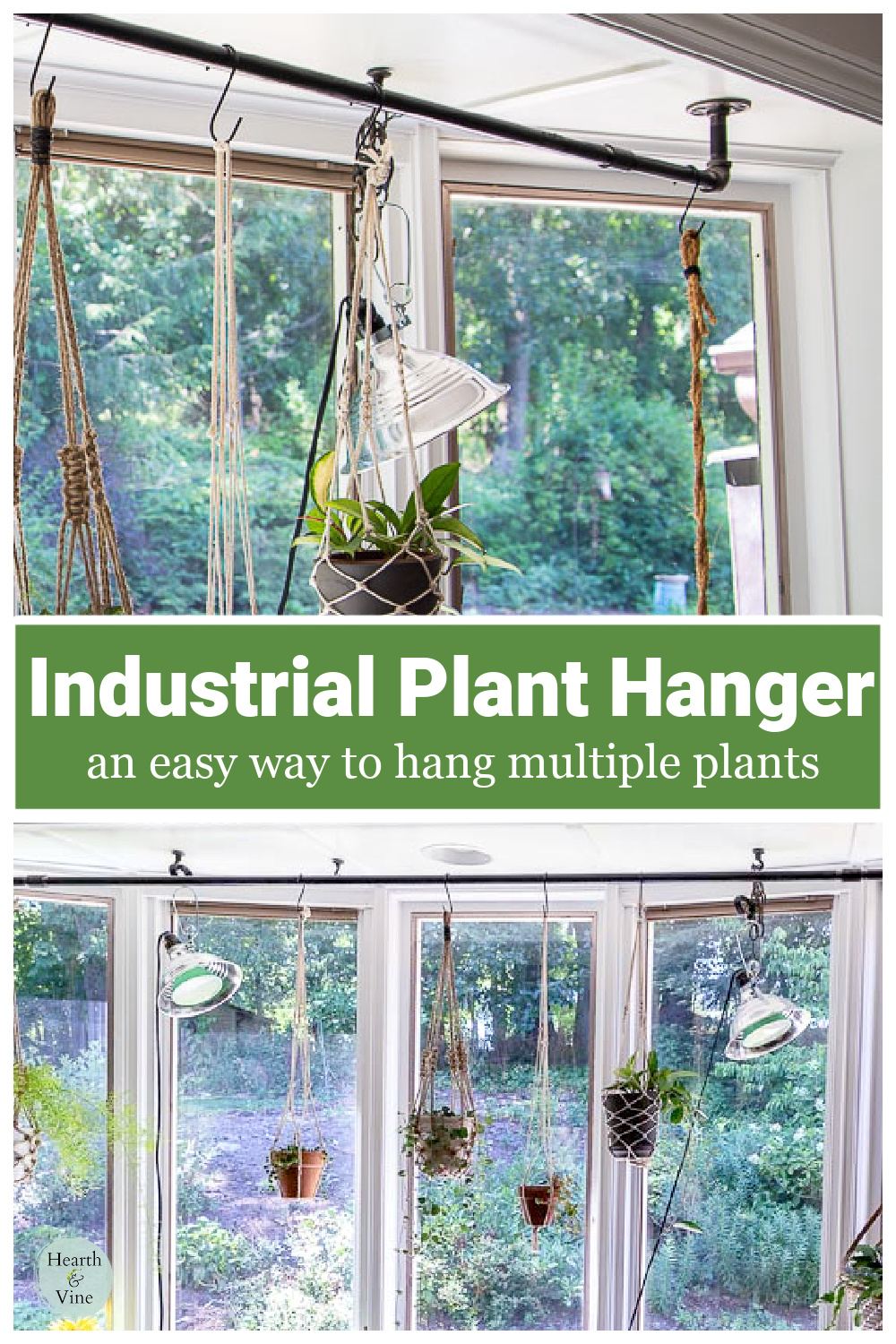 DIY Industrial Pipe Plant Hanger for Multiple Plants