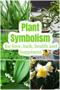 Plant Symbolism Plants to Gift Based on Their Meaning