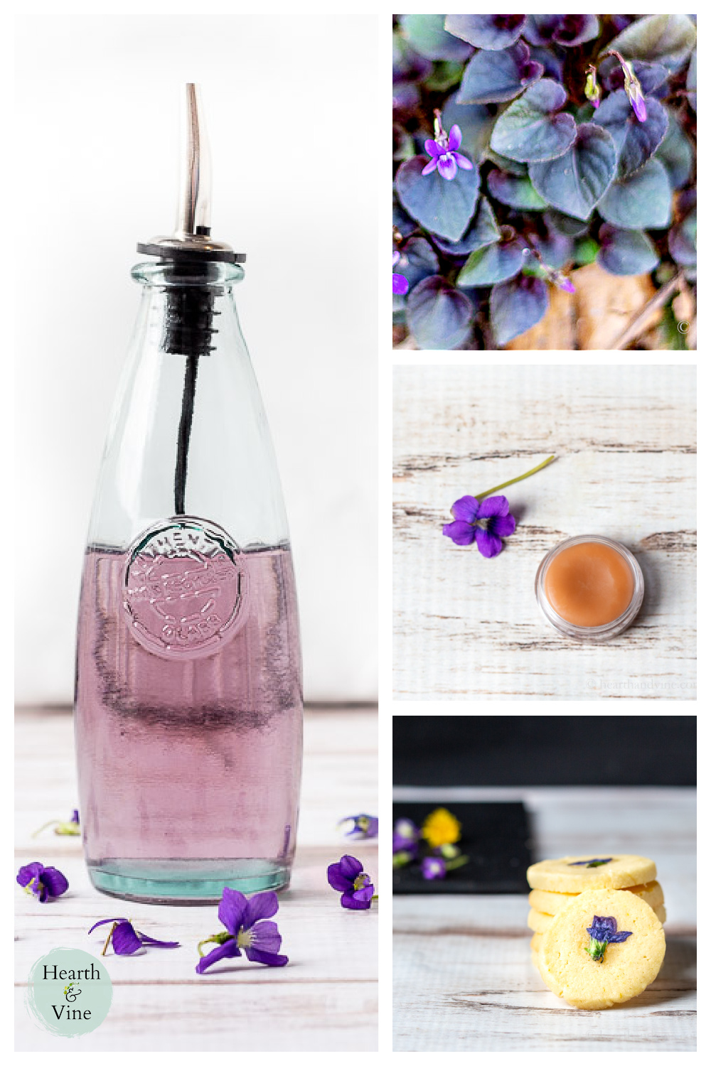 Wild Violet Flowers - Edible Native Spring Beauties