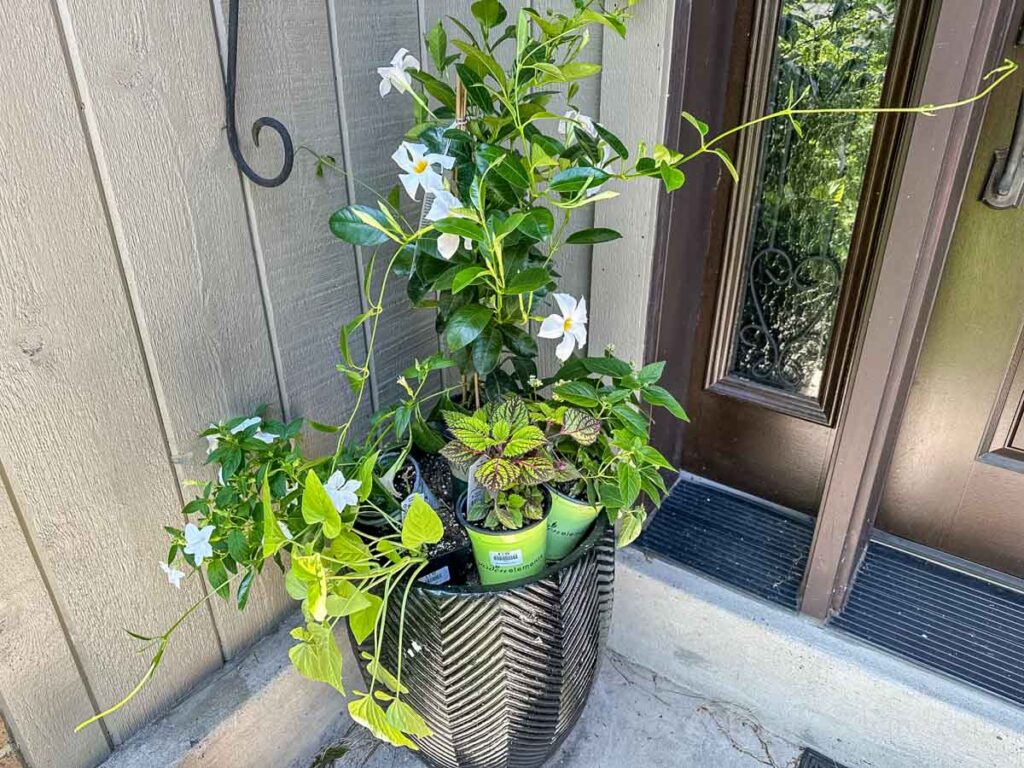 White Container Garden - A Crisp and Elegant Look This Season