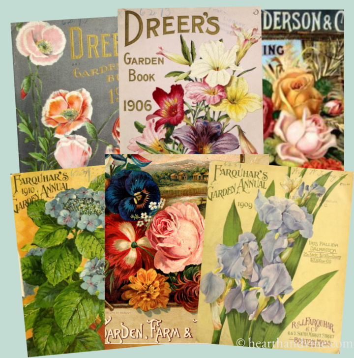 Vintage Seed Packet Printables for Crafting